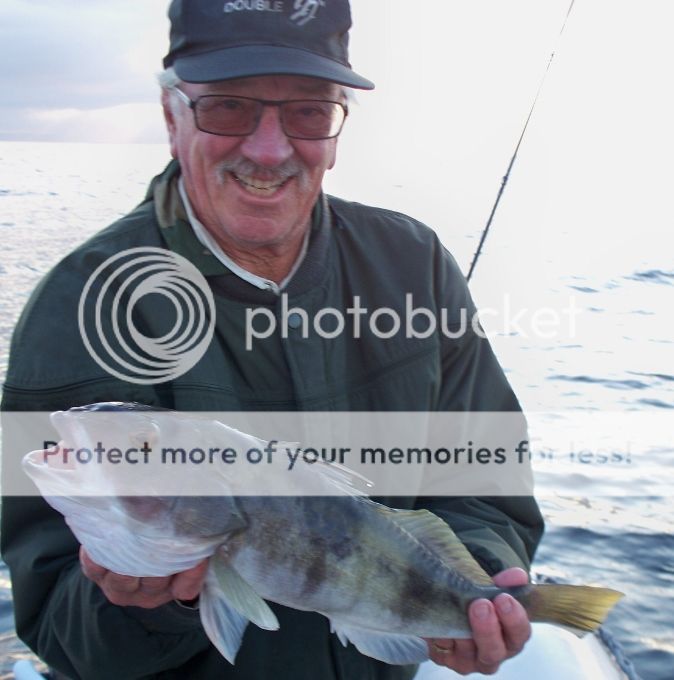 Rpt-Sat.-01-31-15 Healthy Sandies at Izors Reef! | Bloodydecks