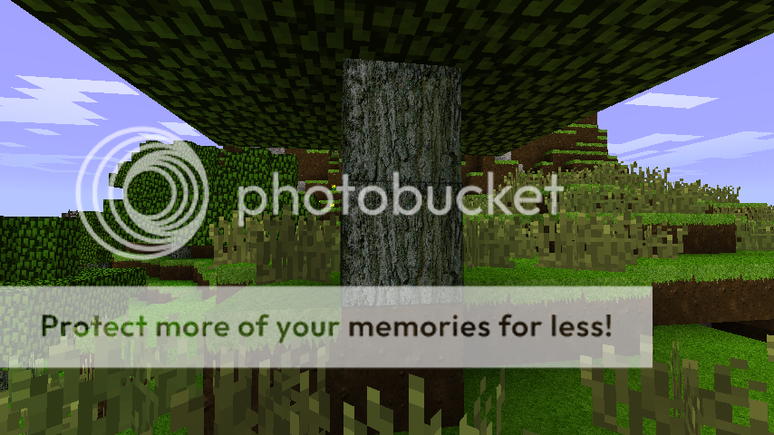 Salmon's Realistic [256x] [WIP] - Resource Packs - Mapping and Modding ...